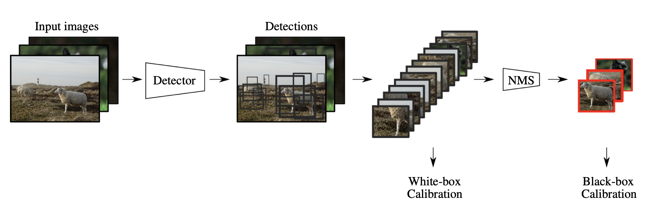From Black-box to White-box: Examining Confidence Calibration under ...